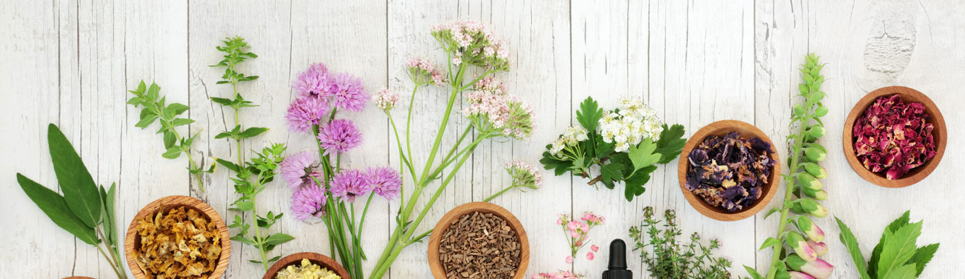 Naturopathie - Jade Allegre